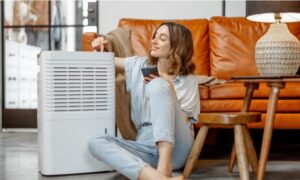 15 Luxury House Sitting Jobs That Pay Near Me